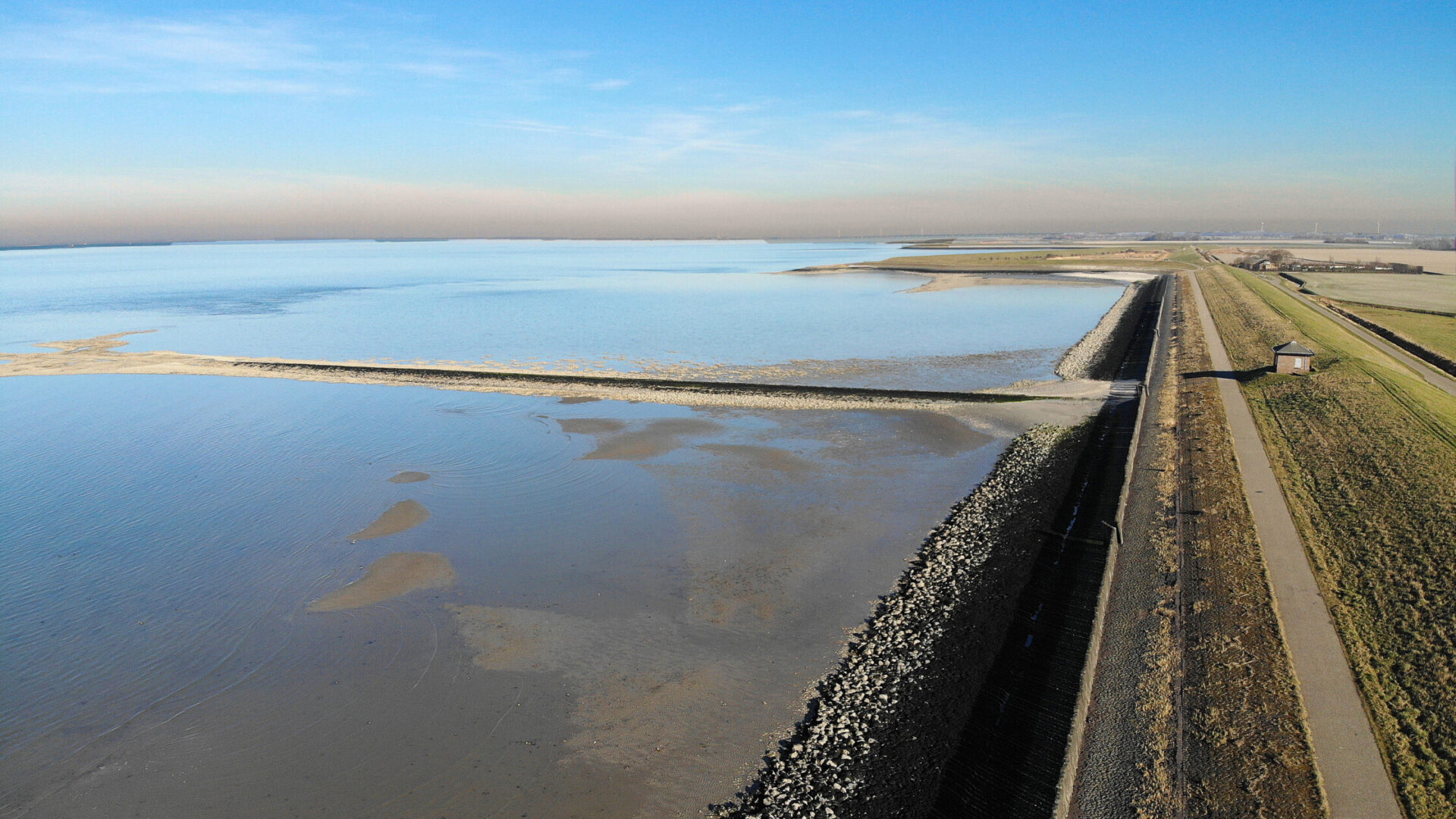 Op zeehondensafari: zeehonden en bruinvissen spotten
