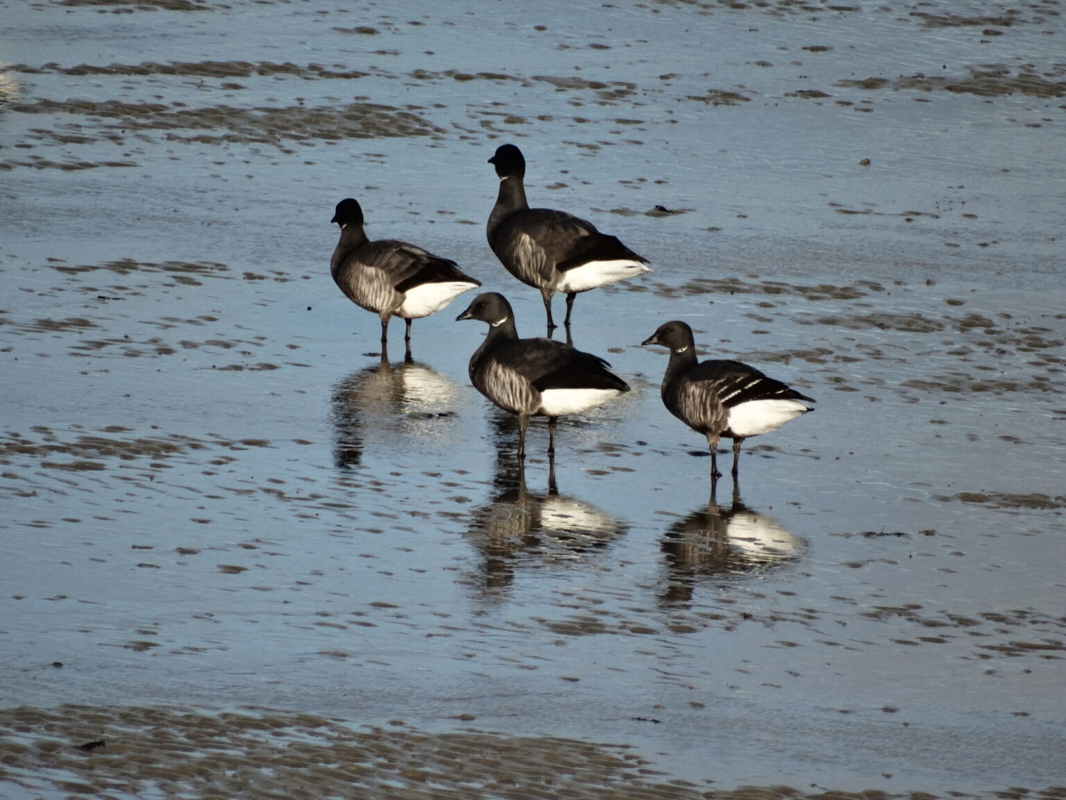 Eten uit de Oosterschelde - Nationaal Park Oosterschelde