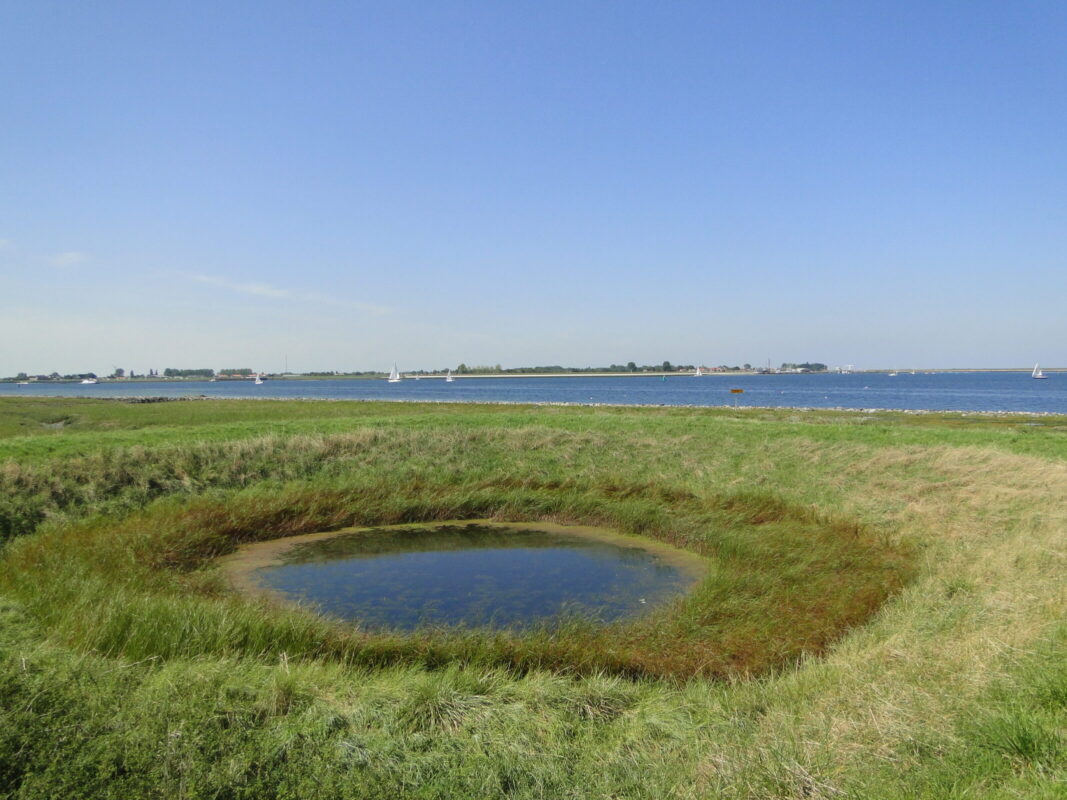 Kooiker Annet: Vergroeid met de Zeeuwse natuur - Nationaal Park ...