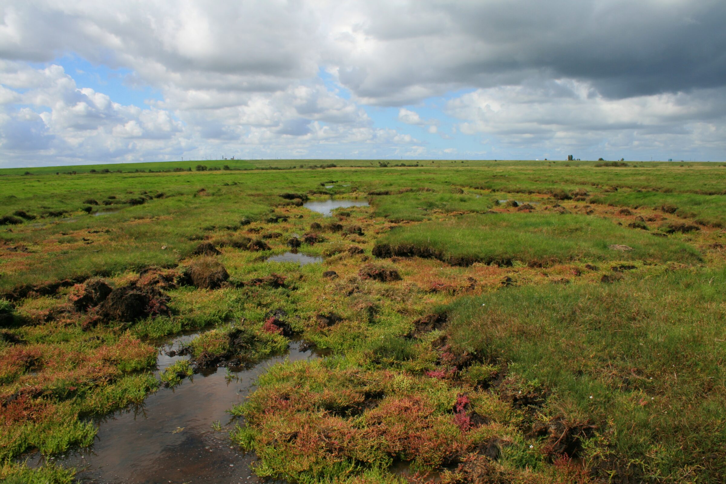 Bezoek Nationaal Park Oosterschelde