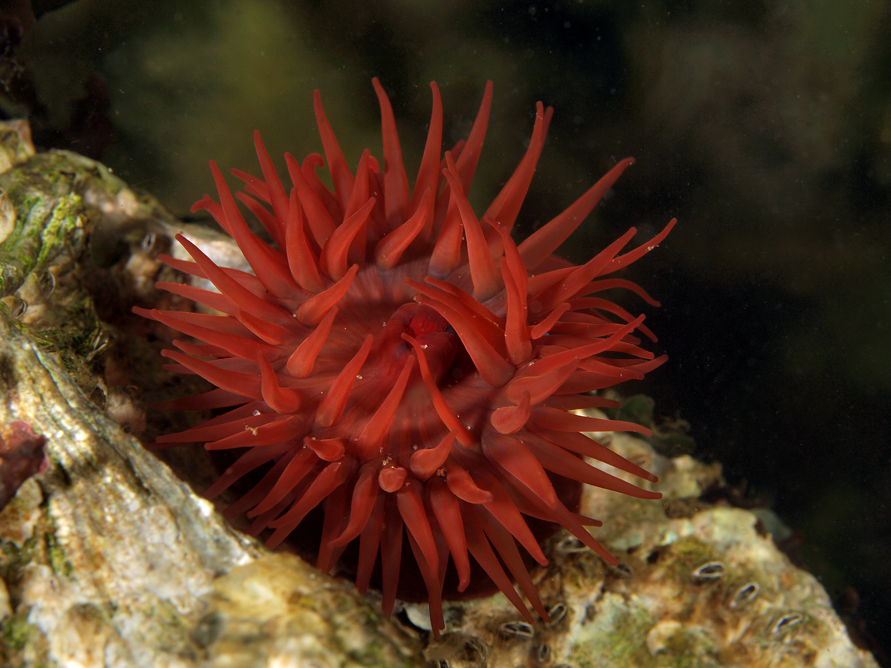 The Tides: Ebb and Flow - Oosterschelde National Park