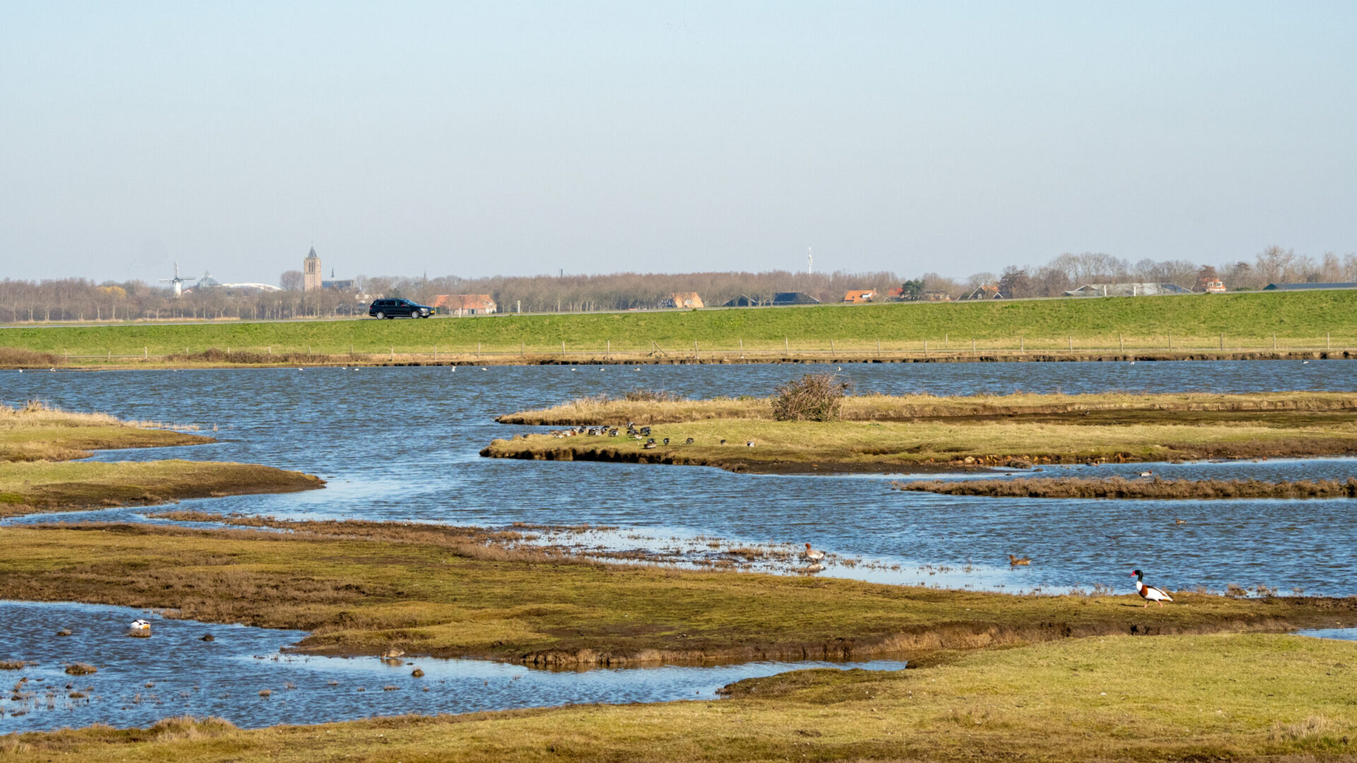 Eropuit - Nationaal Park Oosterschelde